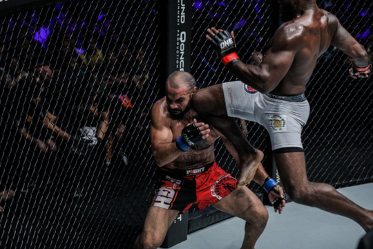 Knockout Explained: Discover the Body's Responses. – Fightstyle